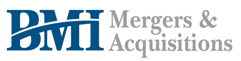 Expert Q&A with David Olson | BMI Mergers & Acquisitions - Compass Ion ...